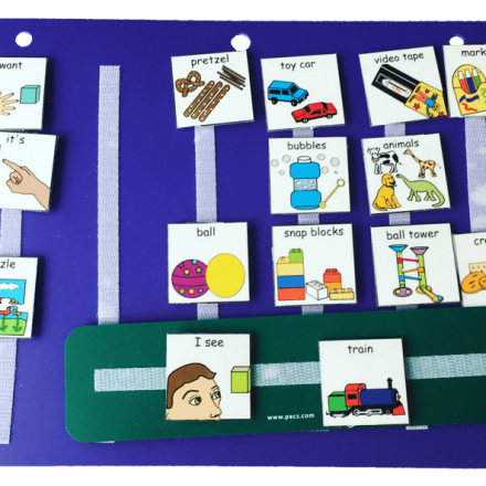 ALL PRODUCTS Archives - Pyramid Educational Consultants of Australia ...