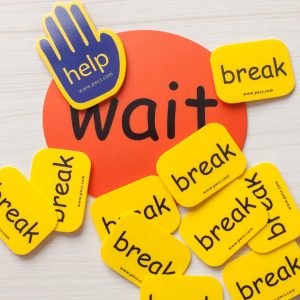 Home - Pyramid Educational Consultants of Australia