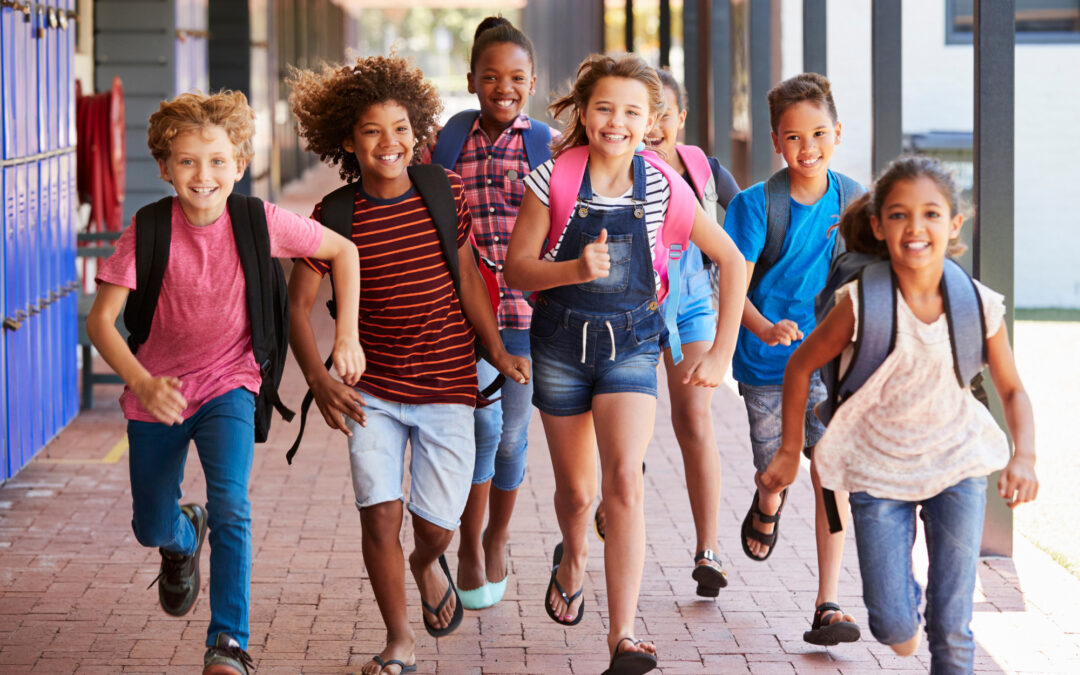 Home - Pyramid Educational Consultants of Australia